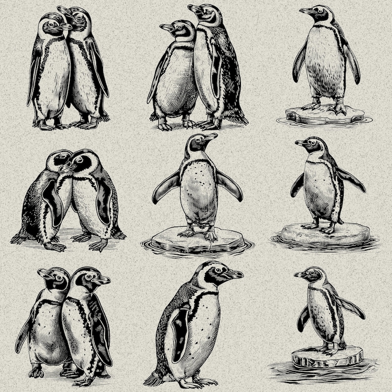 33 Penguin Designs Bundle PNG & SVG Digital for Laser Engraving or ...