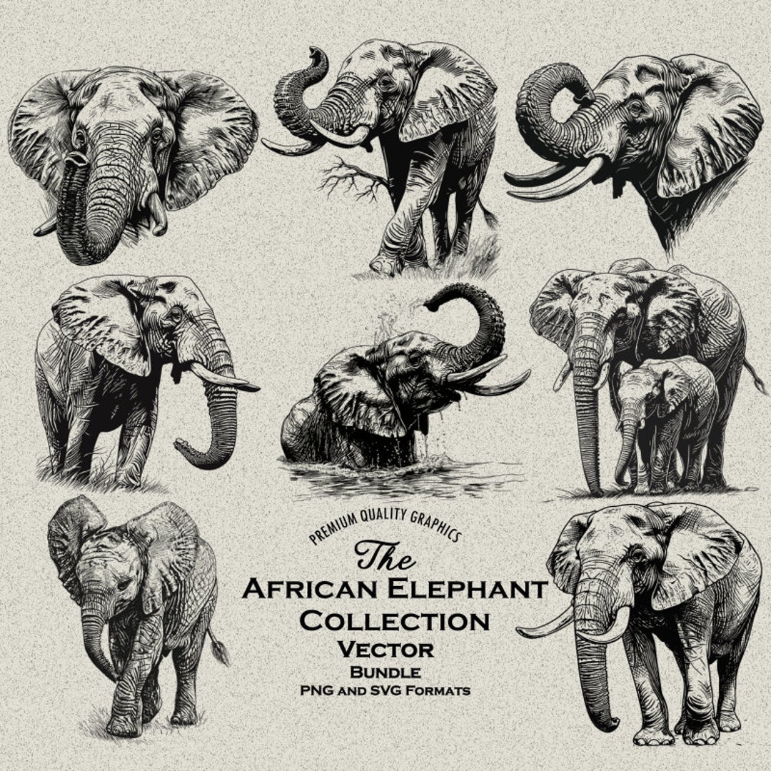 44 Elephant Designs Bundle PNG & SVG for Laser Engraving or Print ...