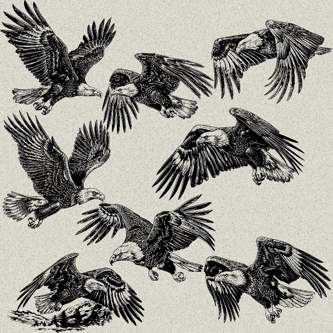 29 Bald Eagle Designs Bundle PNG & SVG Digital for Laser Engraving or ...