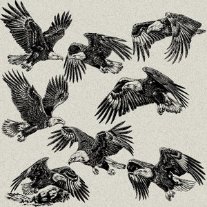 29 Bald Eagle Designs Bundle PNG & SVG Digital for Laser Engraving or ...