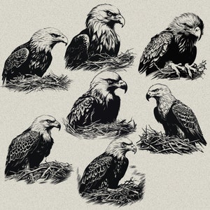 32 Eagle Design Bundle SVG-PNG Detail Designs for Laser Engraving and ...