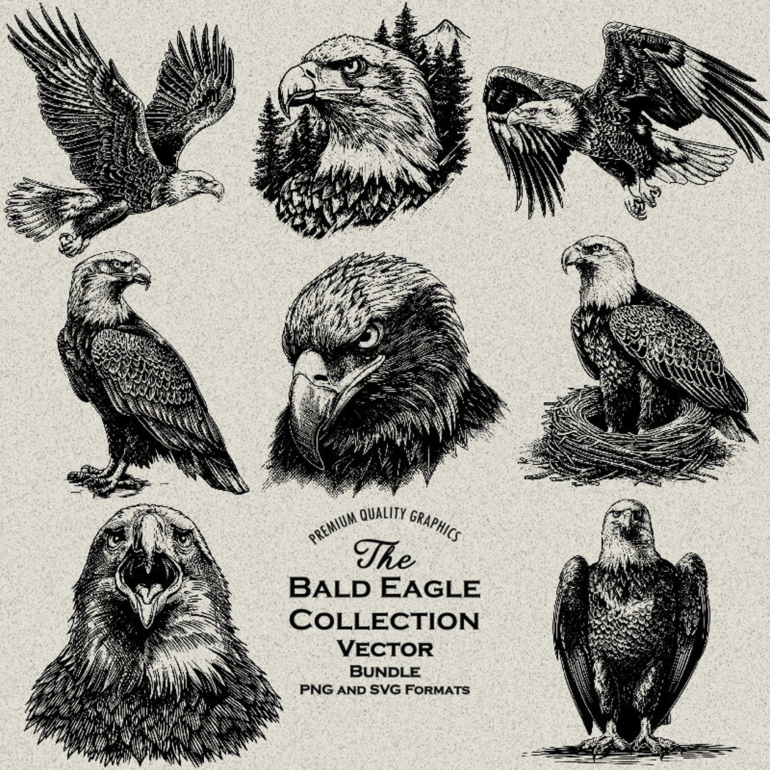 29 Bald Eagle Designs Bundle PNG & SVG Digital for Laser Engraving or ...