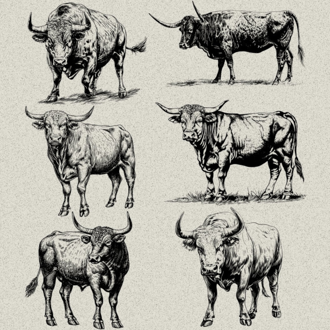 36 Bull Designs Bundle PNG & SVG for Laser Engraving or Print, Texas ...