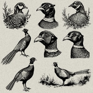 44 Game Bird Designs Bundle PNG & SVG for Laser Engraving or Print on ...