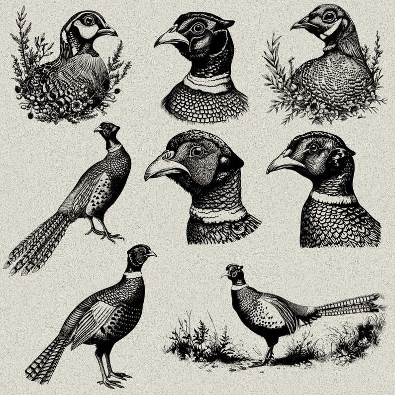 44 Game Bird Designs Bundle PNG & SVG for Laser Engraving or Print on ...