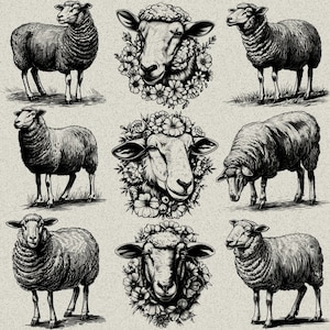 27 Sheep Designs Bundle PNG & SVG Digital for Laser Engraving or Print ...