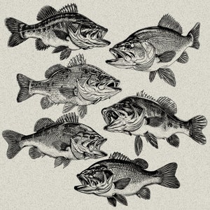 50 Bass Designs Bundle PNG & SVG Digital for Laser Engraving or Print ...