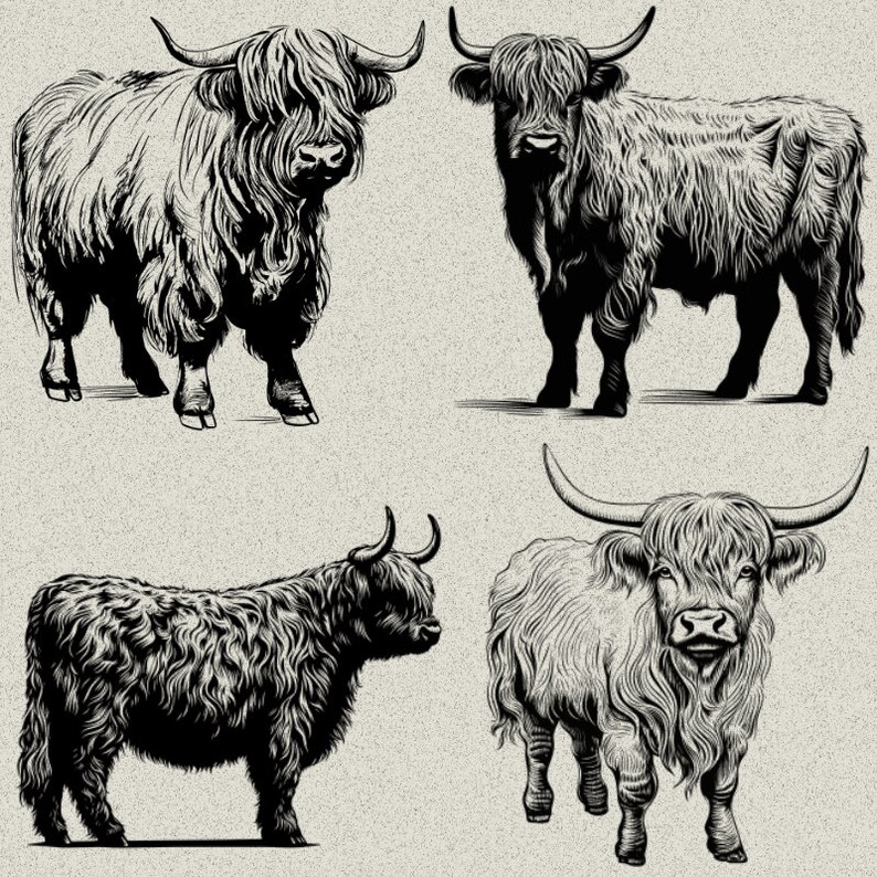 30 Highland Cow Designs Bundle PNG & SVG Digital Download for Laser ...