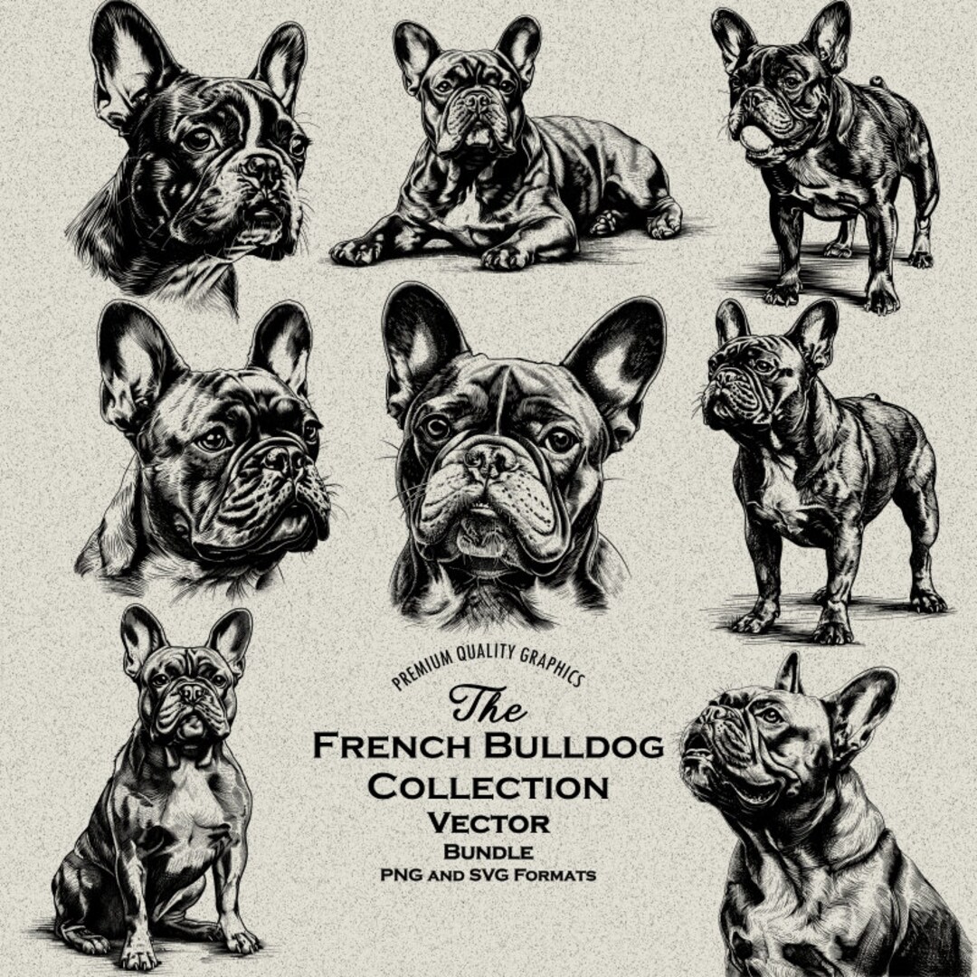 36 French Bulldog Designs Bundle SVG & PNG for Laser Engraving or Print ...