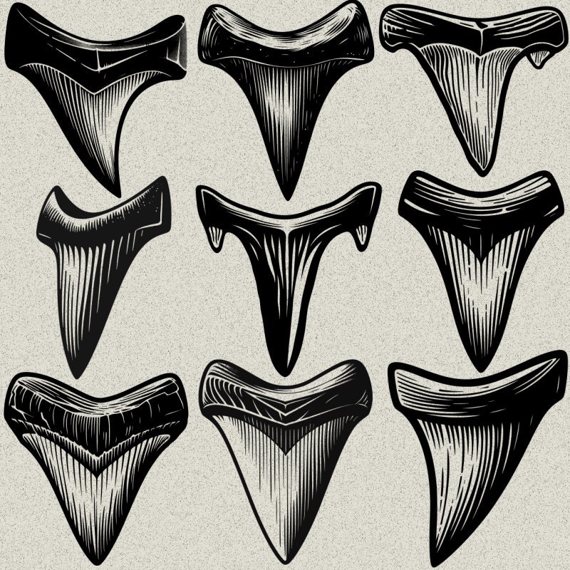 36 Shark Teeth Bundle PNG & SVG Digital for Laser Engraving or Print ...