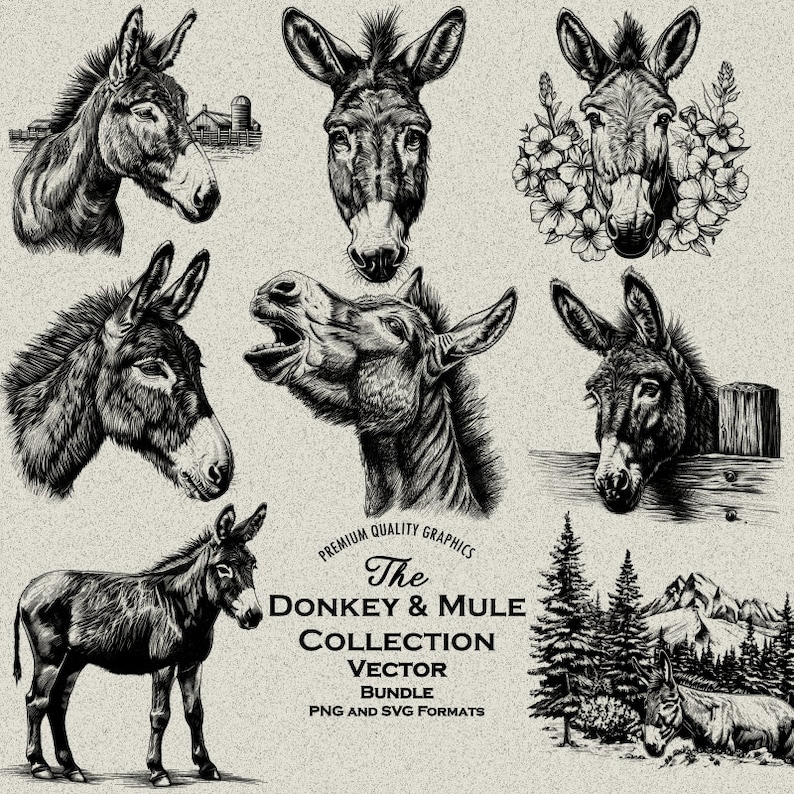 28 Donkey and Mule Bundle SVG & PNG for Laser Engraving or Print, Farm ...