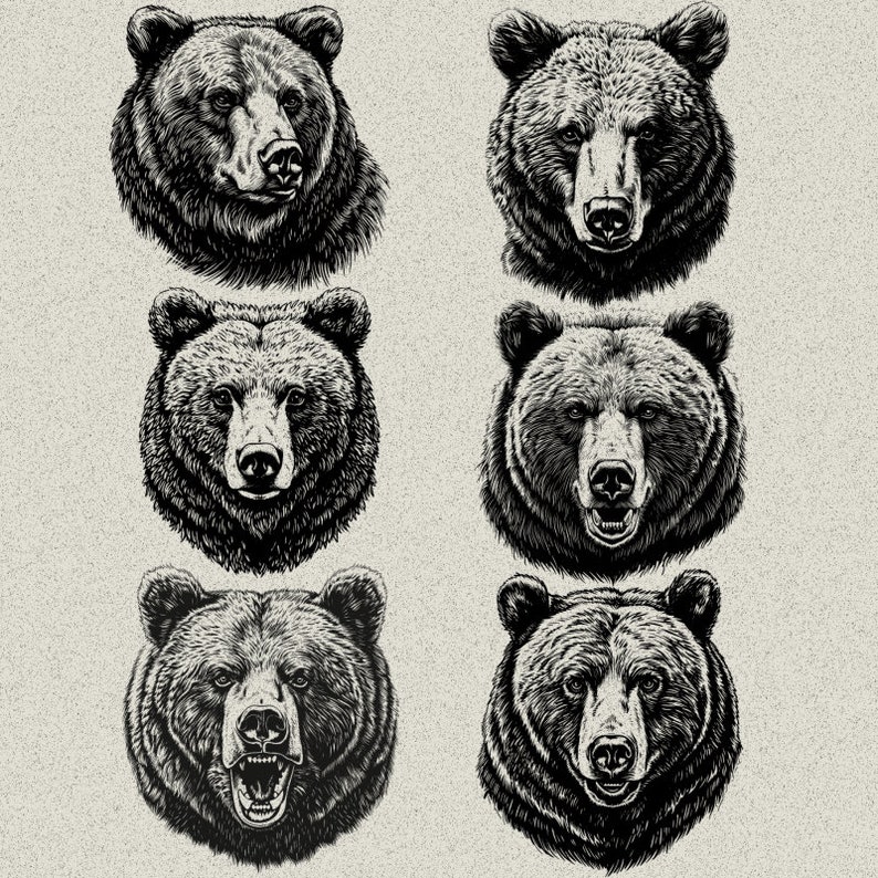 38 Bear High Detail SVG & PNG Bundle Pack for Laser Engraving or Print: Grizzly, Mamma Bear ...