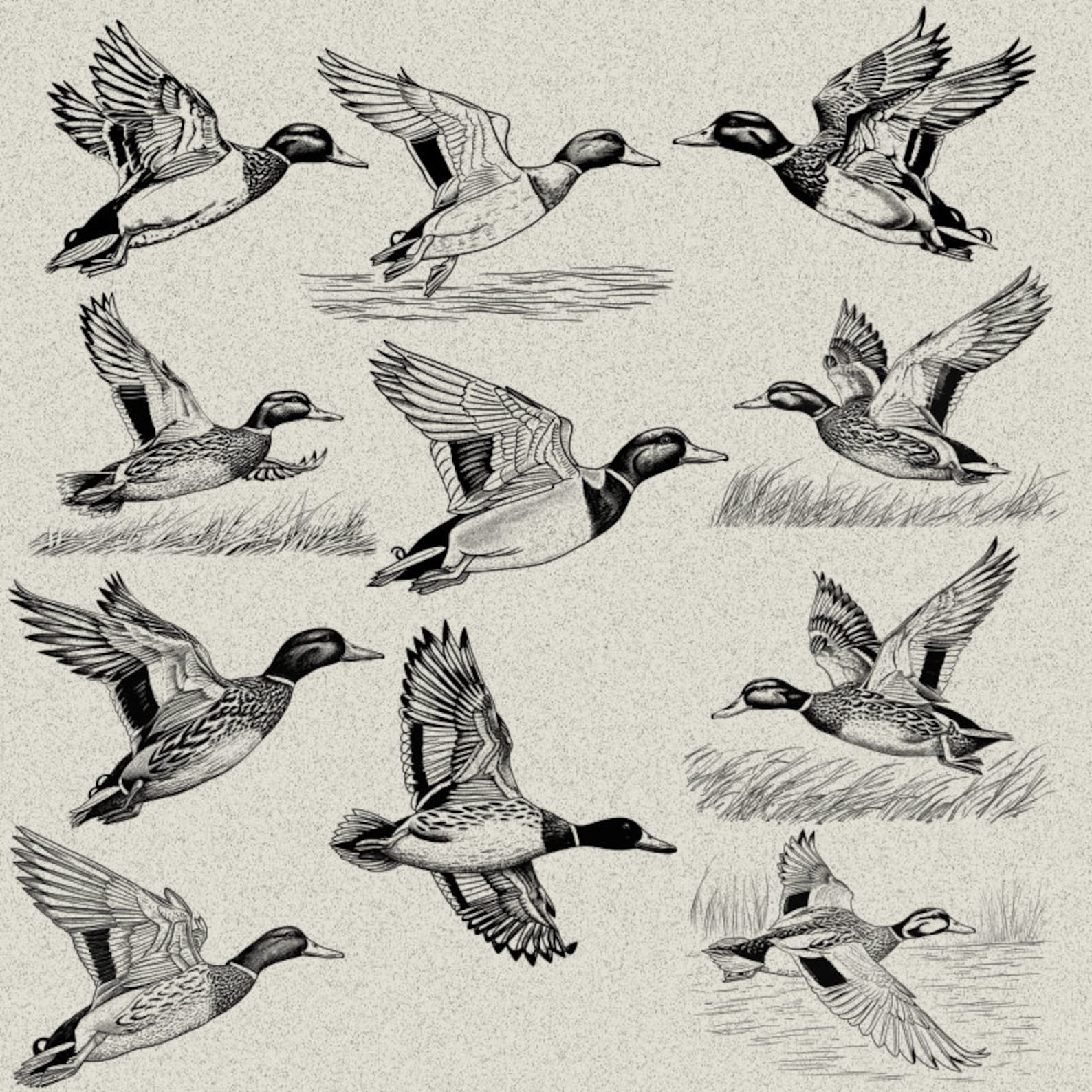 62 Duck Designs Bundle PNG & SVG Digital for Laser Engraving or Print ...
