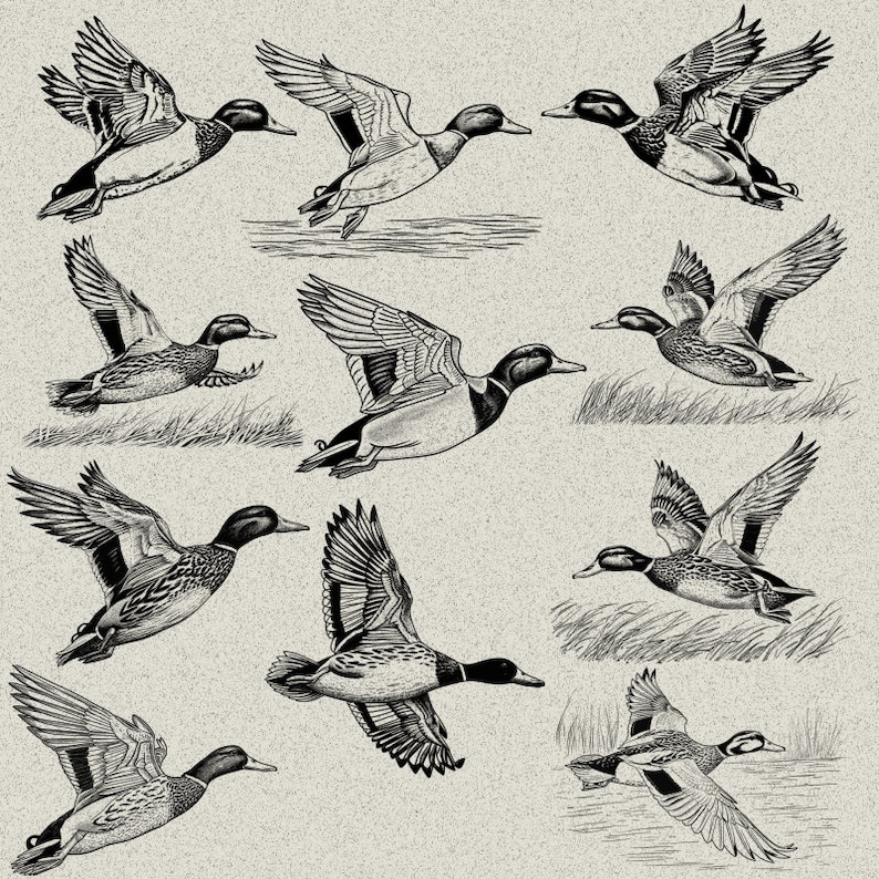 62 Duck Designs Bundle PNG & SVG Digital for Laser Engraving or Print ...