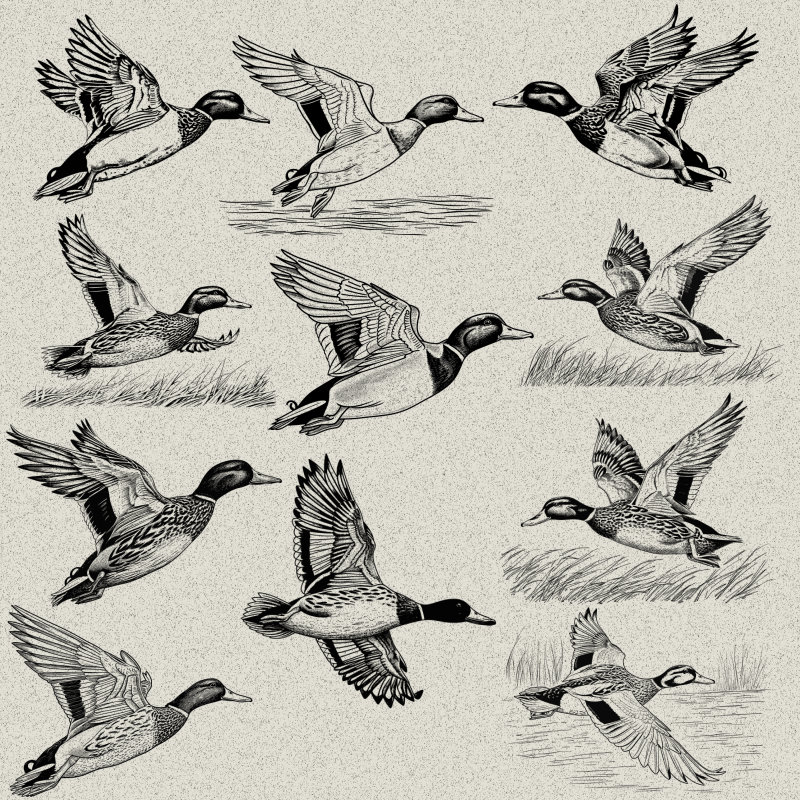 62 Duck Designs Bundle PNG & SVG Digital for Laser Engraving or Print ...