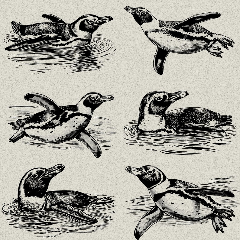 33 Penguin Designs Bundle PNG & SVG Digital for Laser Engraving or ...