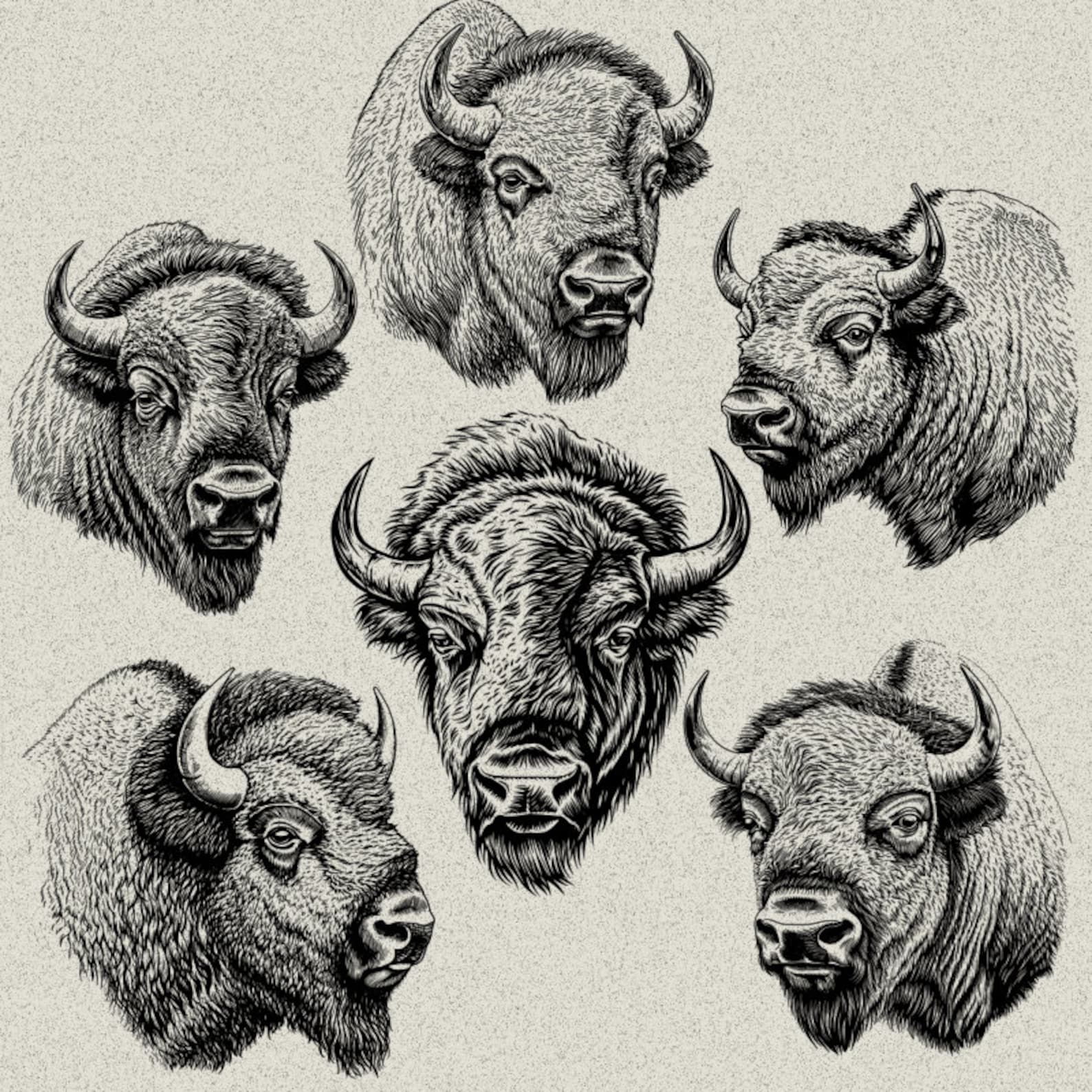 34 American Bison Designs Bundle PNG & SVG Digital for Laser Engraving ...