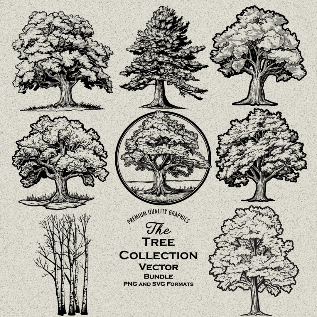 81 Tree SVG & PNG Bundle Designs for Laser Engraving, Print-on-demand ...