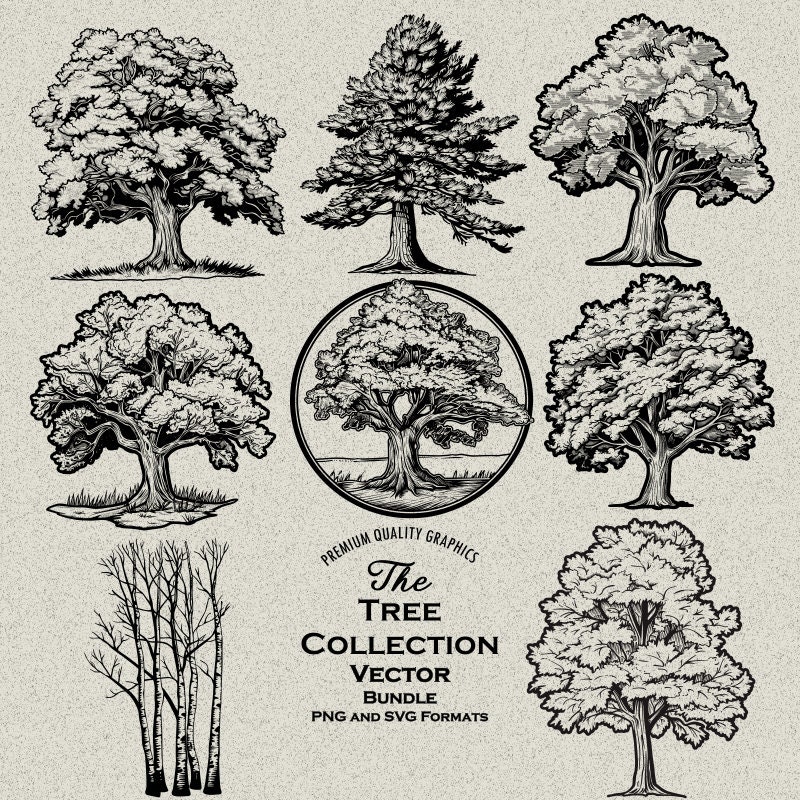 81 Tree SVG & PNG Bundle Designs for Laser Engraving, Print-on-demand ...