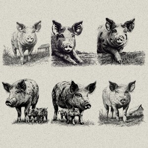 42 Pig Designs Bundle PNG & SVG for Laser Engraving or Print, Piglet ...