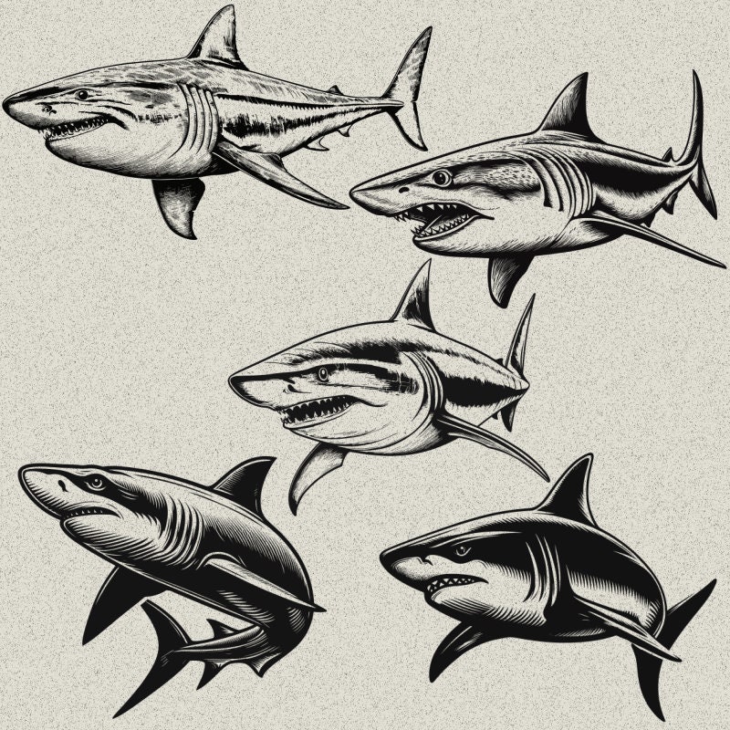 35 Shark Designs Bundle PNG & SVG Digital for Laser Engraving or Print ...