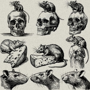 36 Rat Designs Bundle PNG & SVG Digital for Laser Engraving or Print ...