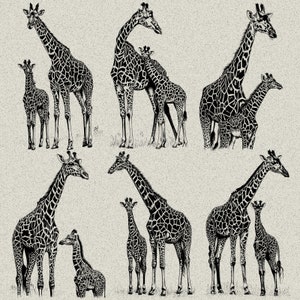 43 Giraffe Design Bundle PNG & SVG for Laser Engraving or Print. Baby ...