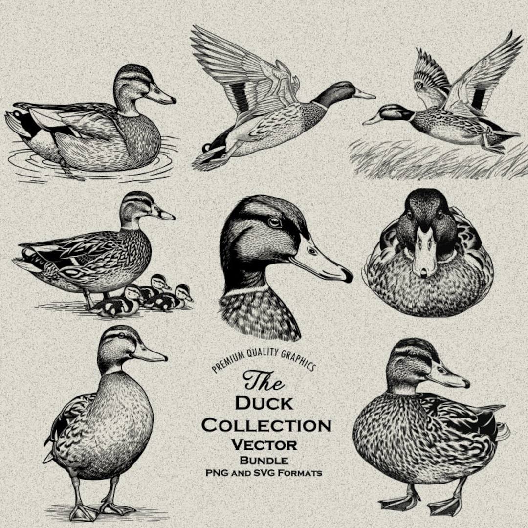 62 Duck Designs Bundle PNG & SVG Digital for Laser Engraving or Print ...