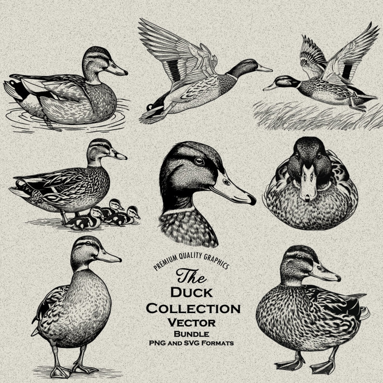 62 Duck Designs Bundle PNG & SVG Digital for Laser Engraving or Print ...