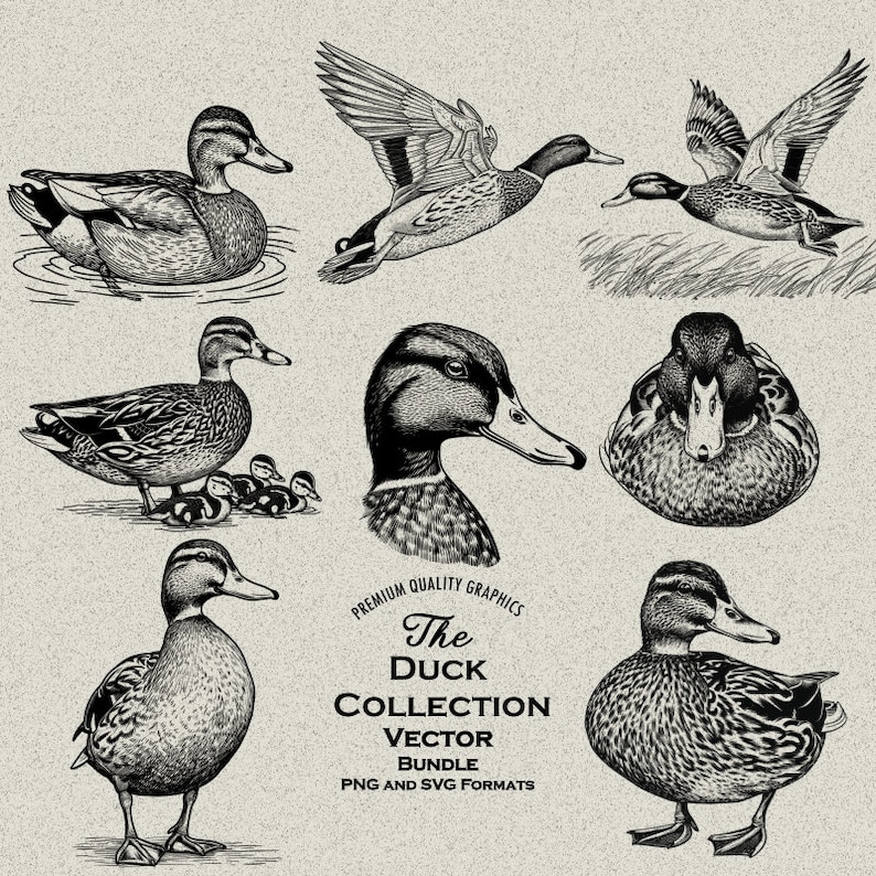 62 Duck Designs Bundle PNG & SVG Digital for Laser Engraving or Print ...
