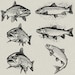 38 Trout Designs Bundle PNG & SVG Digital for Laser Engraving or Print ...