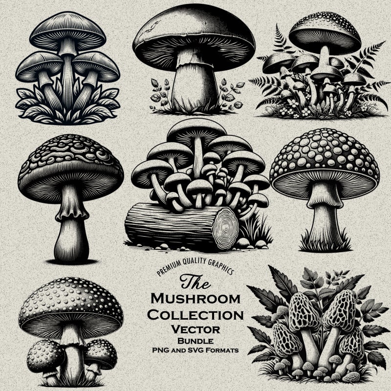 Fine Line Mushrooms - Etsy