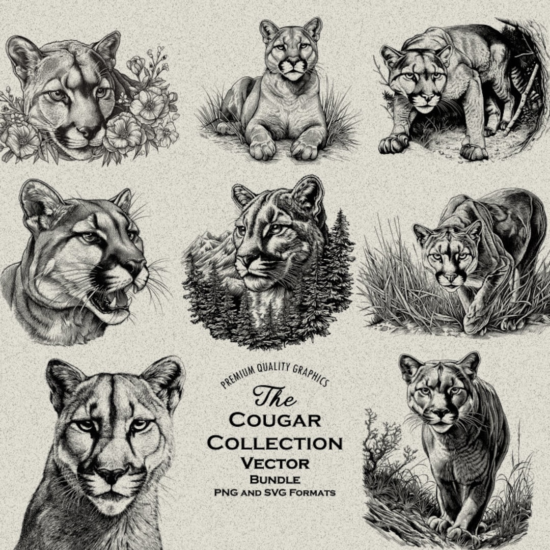 38 Cougar, Puma, Mountain Lion Detailed Designs Bundle PNG & SVG for ...