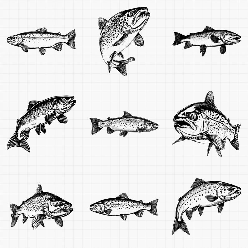 Trout Designs Bundle PNG & SVG Digital for Laser Engraving or Print ...