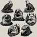 29 Bald Eagle Designs Bundle PNG & SVG Digital for Laser Engraving or ...