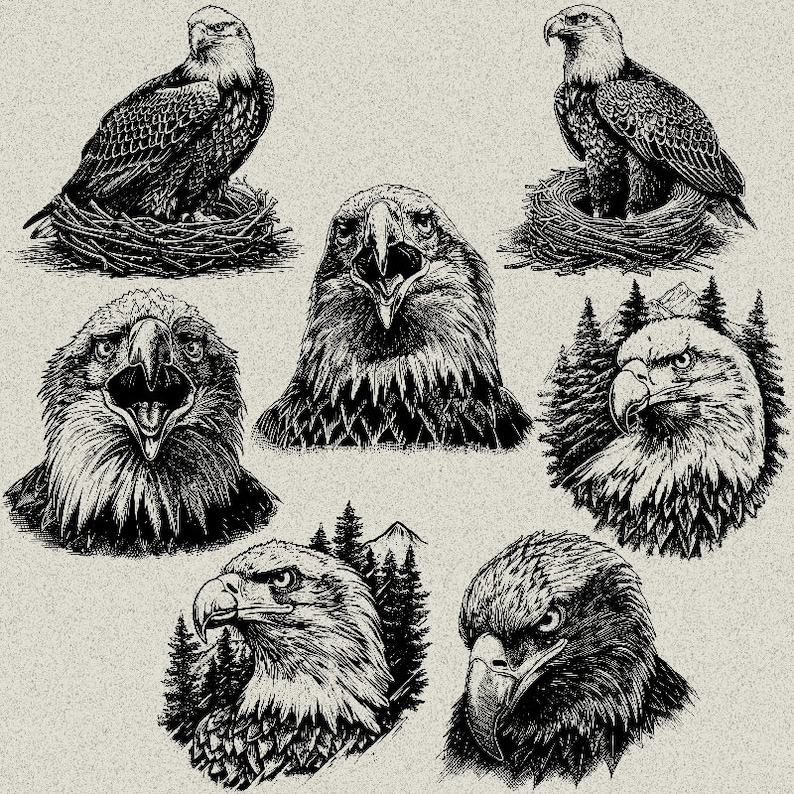29 Bald Eagle Designs Bundle PNG & SVG Digital for Laser Engraving or ...