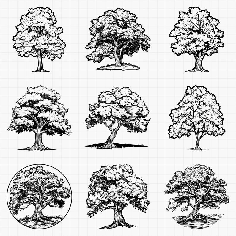 Tree SVG & PNG Bundle Designs for Laser Engraving, Print-on-demand, Oak ...