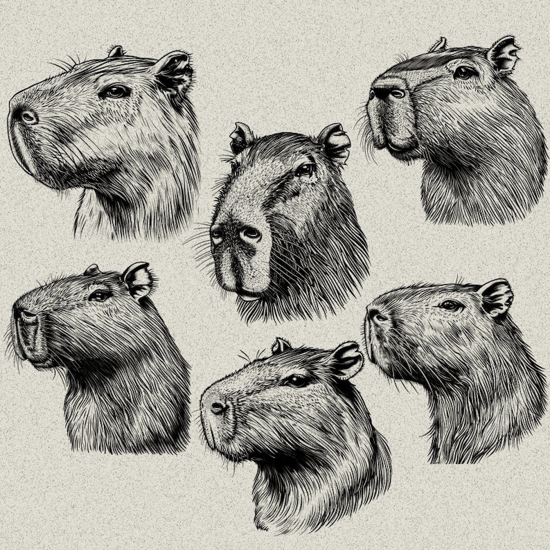 30 Capybara Designs Bundle SVG & PNG for Laser Engraving or Print, Capy ...