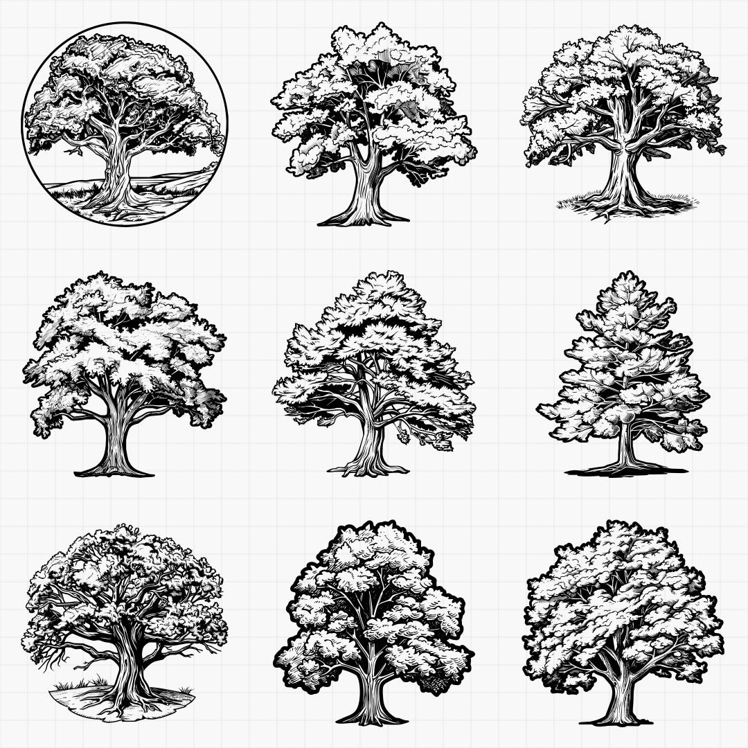 Tree SVG & PNG Bundle Designs for Laser Engraving, Print-on-demand, Oak ...