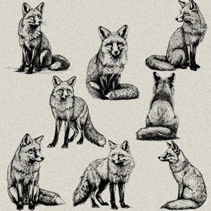 47 Fox Designs Bundle PNG & SVG Digital for Laser Engraving or Print ...