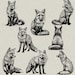 47 Fox Designs Bundle PNG & SVG Digital for Laser Engraving or Print ...