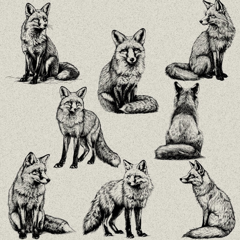 47 Fox Designs Bundle PNG & SVG Digital for Laser Engraving or Print ...