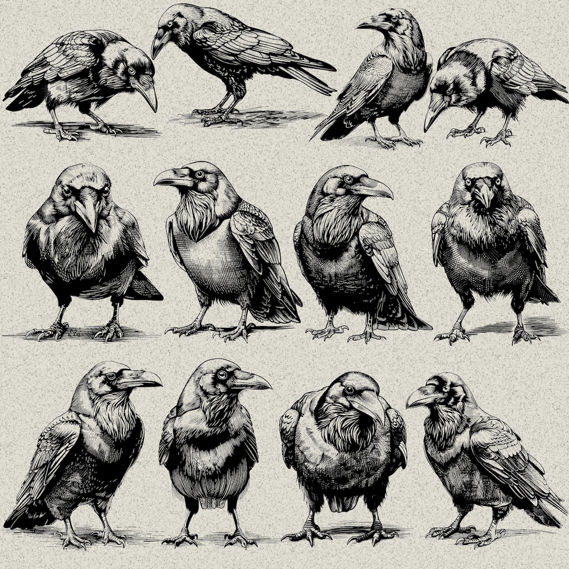 40 Raven and Crow Designs Bundle PNG & SVG Digital for Laser Engraving ...