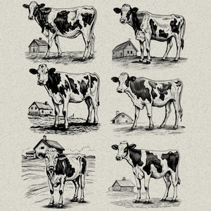 42 Cow Designs Bundle PNG & SVG for Laser Engraving or Print, Dairy Cow ...
