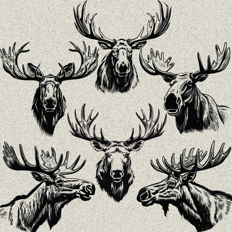25 Moose Design Bundle PNG & SVG Formats Good for Laser Engraving and ...