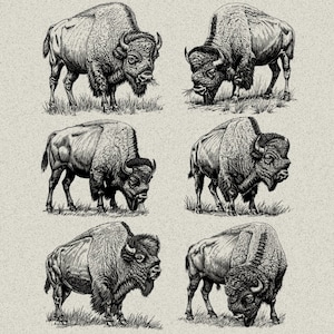 34 American Bison Designs Bundle PNG & SVG Digital for Laser Engraving ...