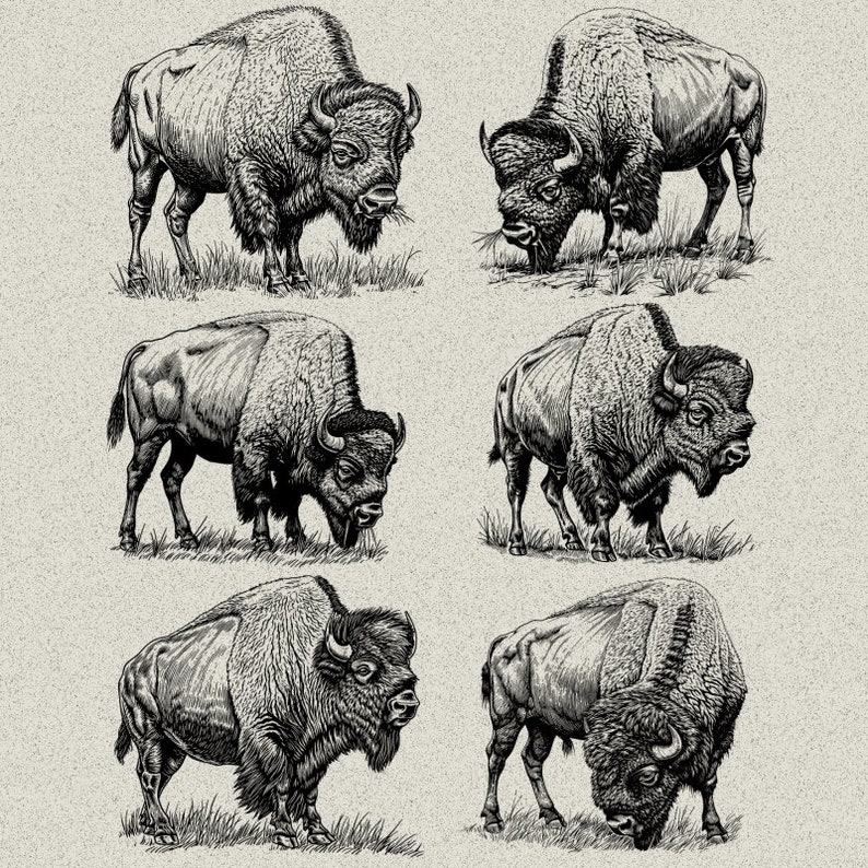 34 American Bison Designs Bundle PNG & SVG Digital for Laser Engraving ...