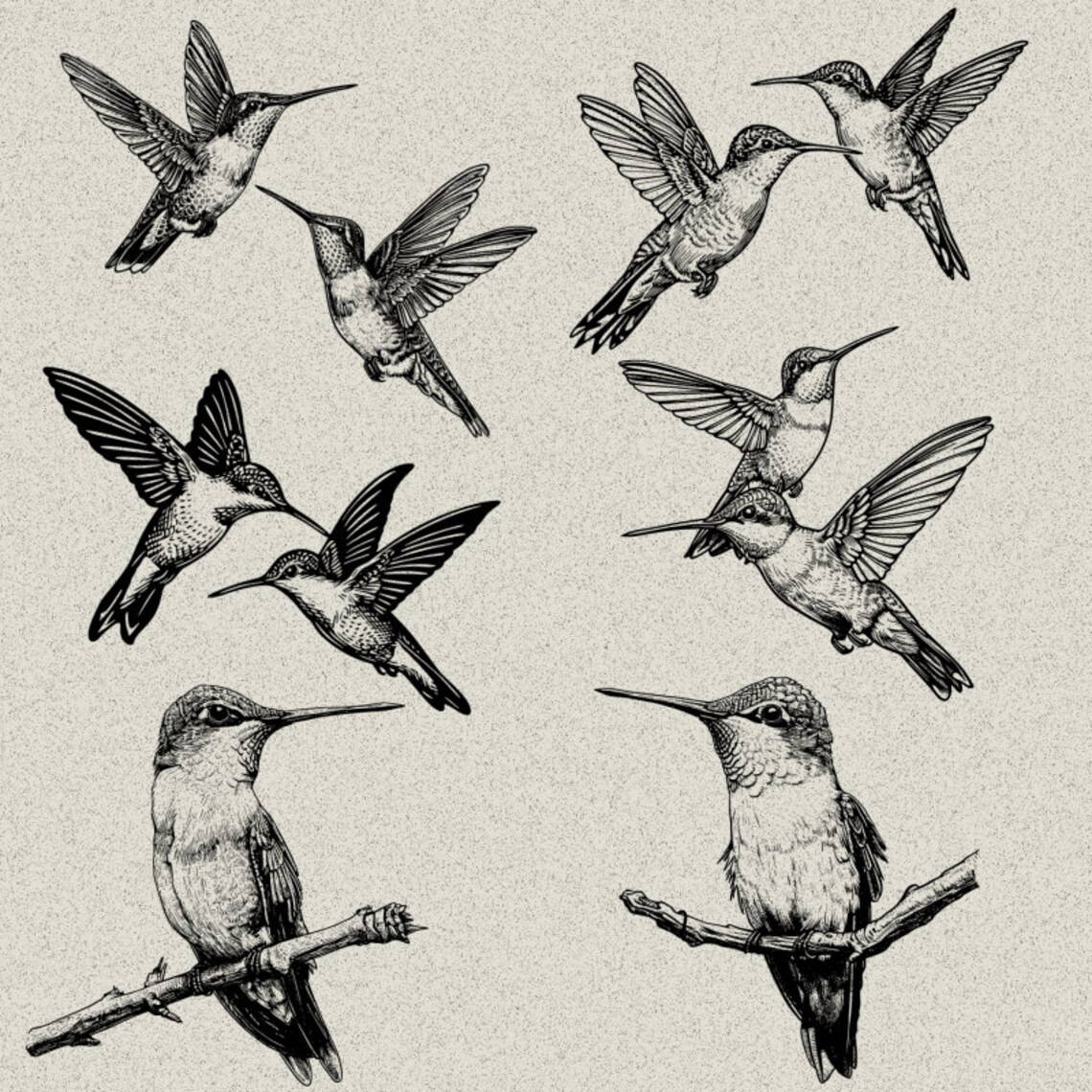 36 Humming Bird Designs Bundle PNG & SVG Digital for Laser Engraving or ...