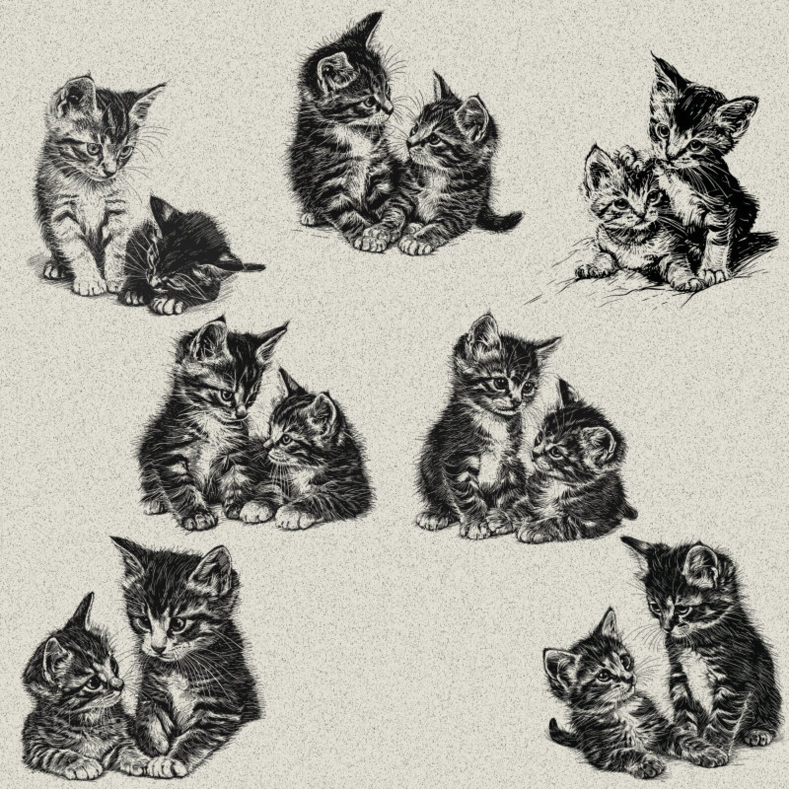 50 Cat and Kitten Designs Bundle PNG & SVG for Laser Engraving or Print ...