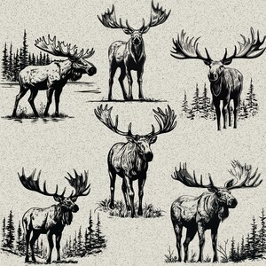 25 Moose Design Bundle PNG & SVG Formats Good for Laser Engraving and ...